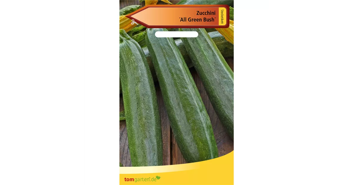 Zucchini 'All Green Bush'